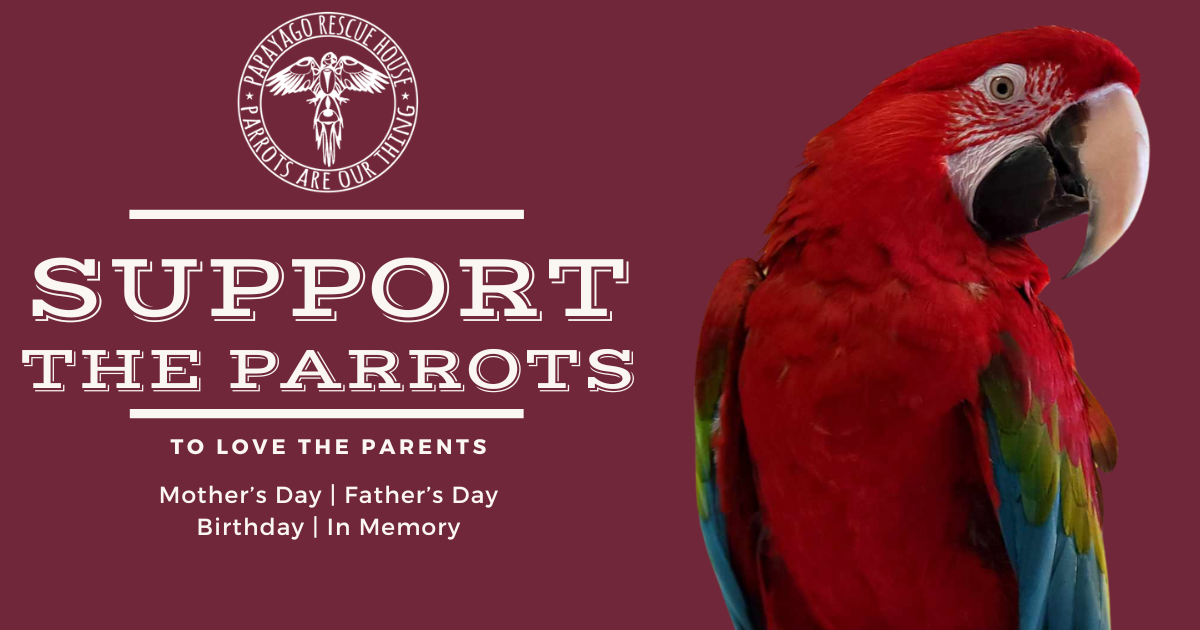 Support the Parrots to Love the Parents