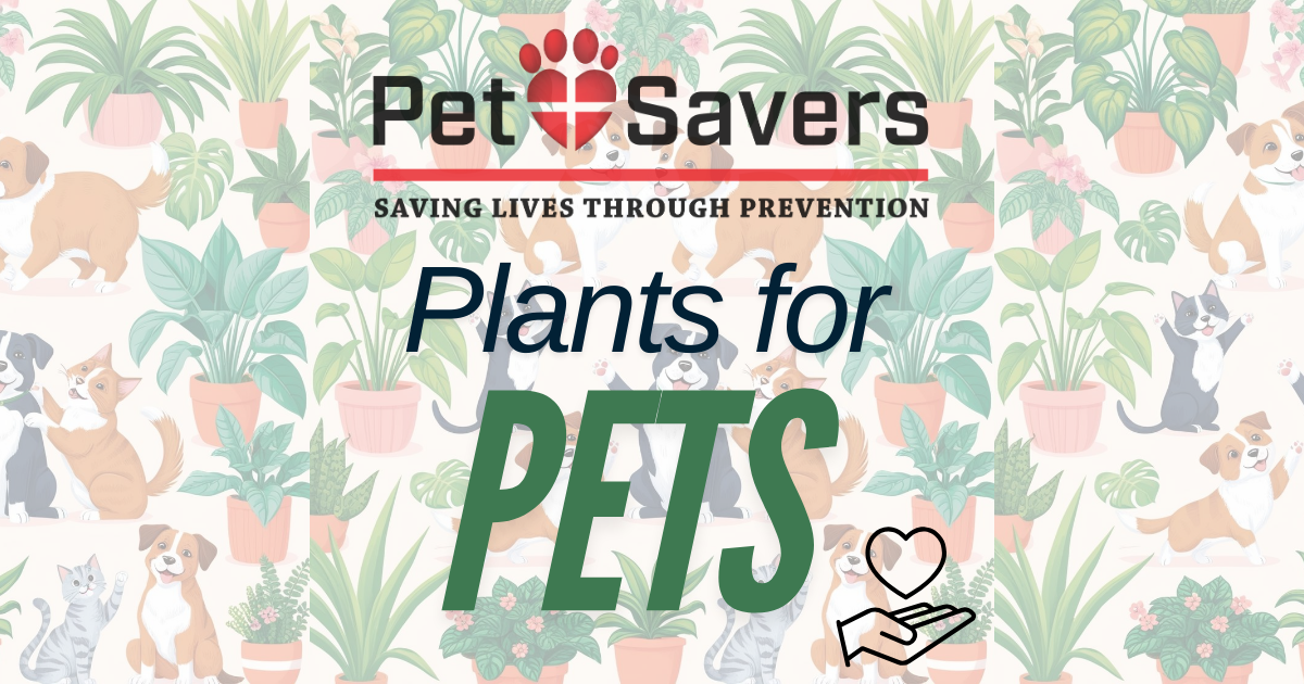 Plants for Pets | Pet Savers