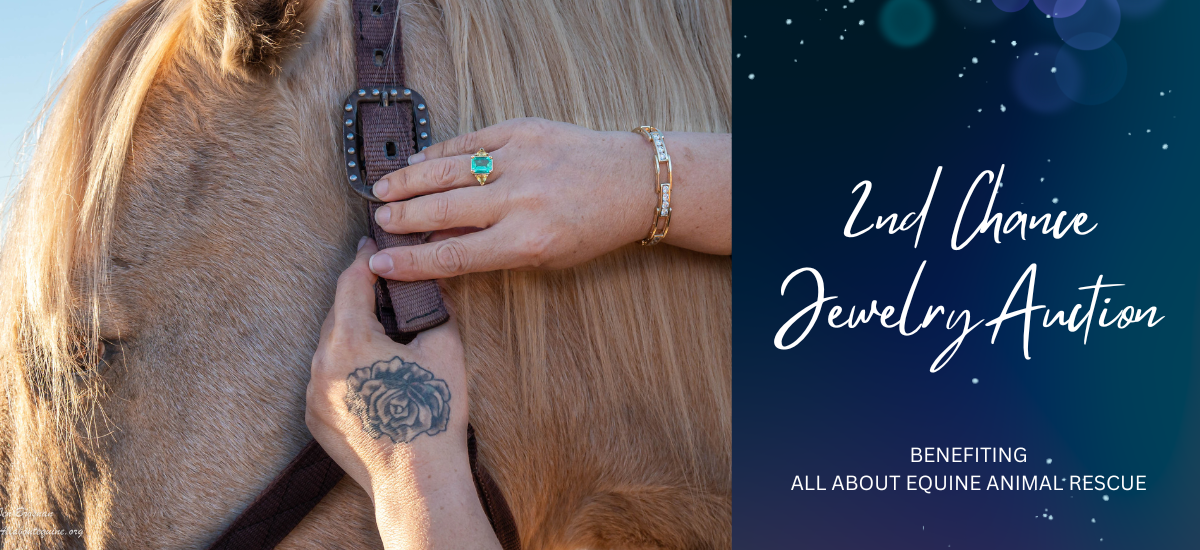 AAE's 2nd Chance Auction!