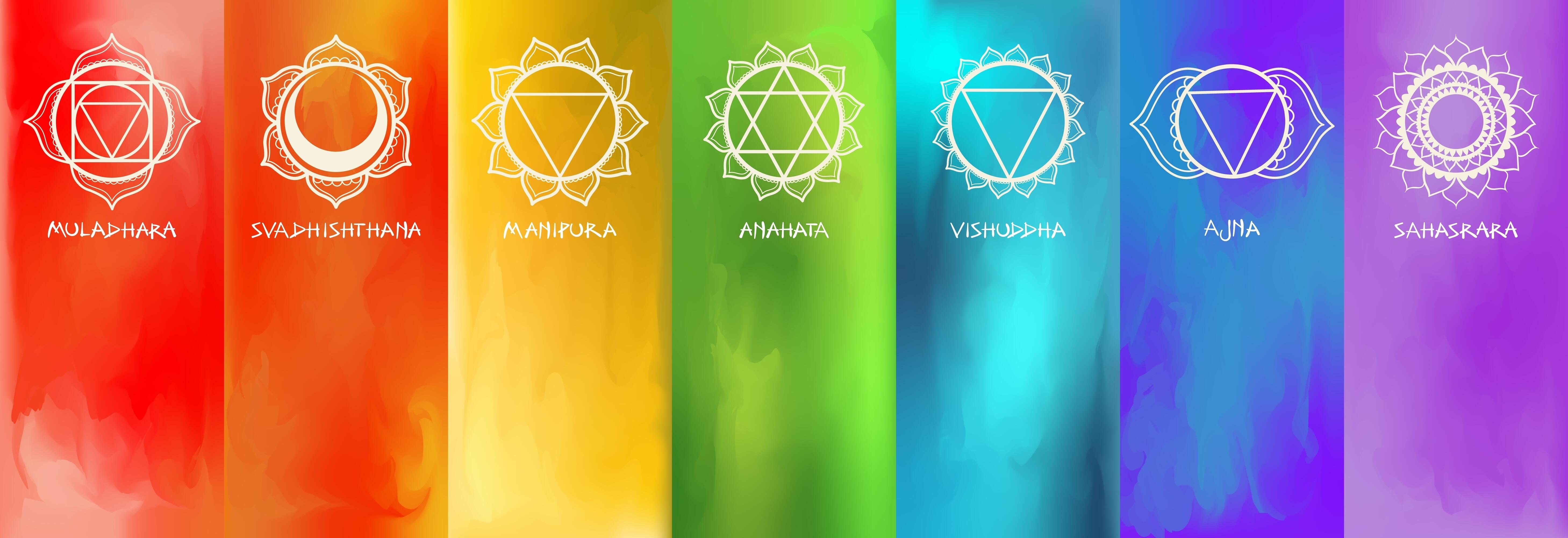 Chakra Anatomy + Group Healing | Vibe Medicine Collective NFP