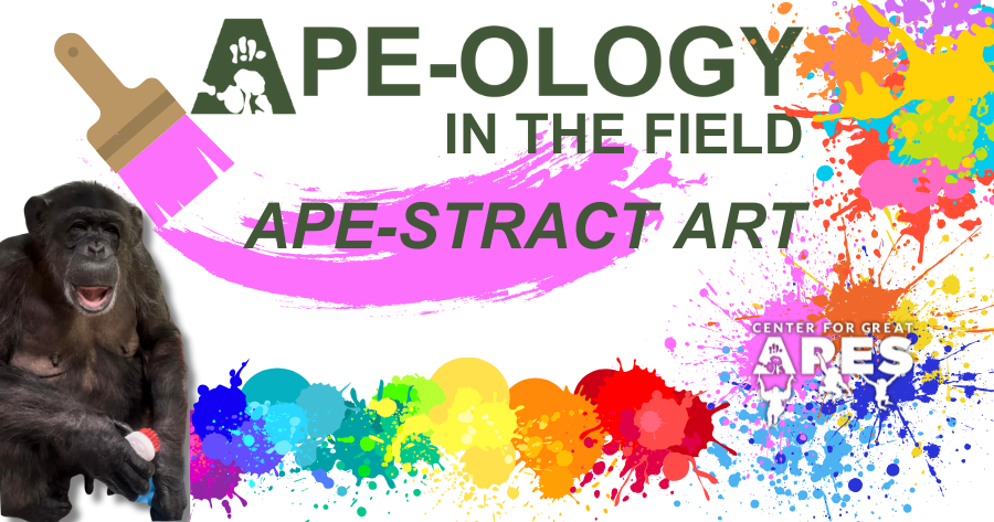 Ape-ology: In the Field April 2025