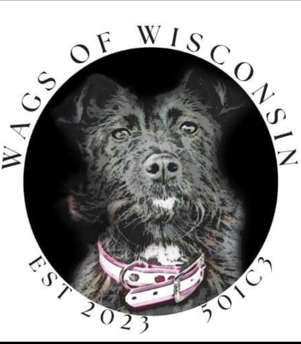 Wags of Wisconsin- Hearts for Paws- Valentine's Day Fundraiser | Wags ...