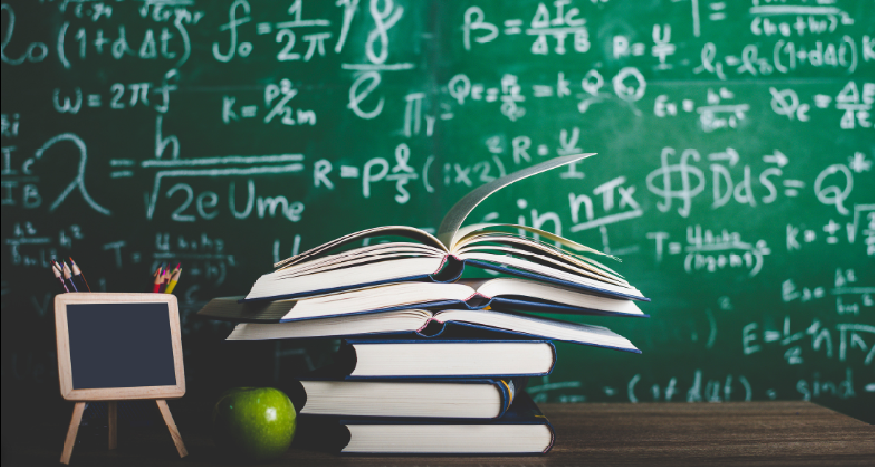 Turkish Educational Foundation (TEF)