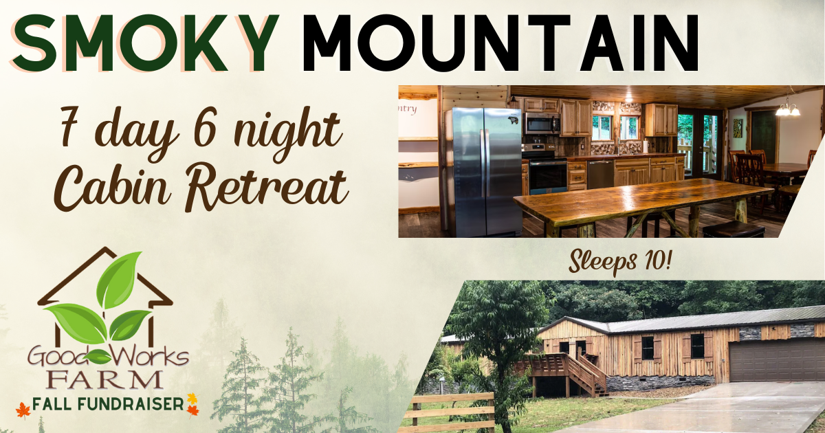 7 Day/6 Night Smoky Mountains Cabin Retreat - sleeps 10! | Good Works ...
