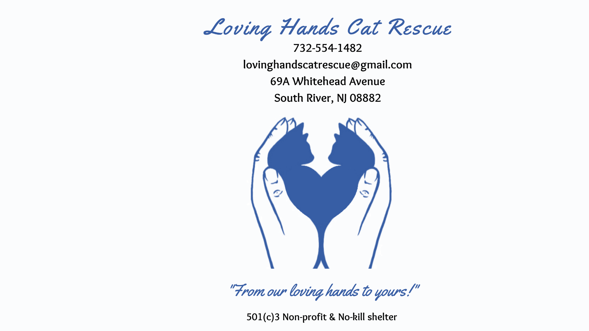 Loving Hands Cat Rescue Donation