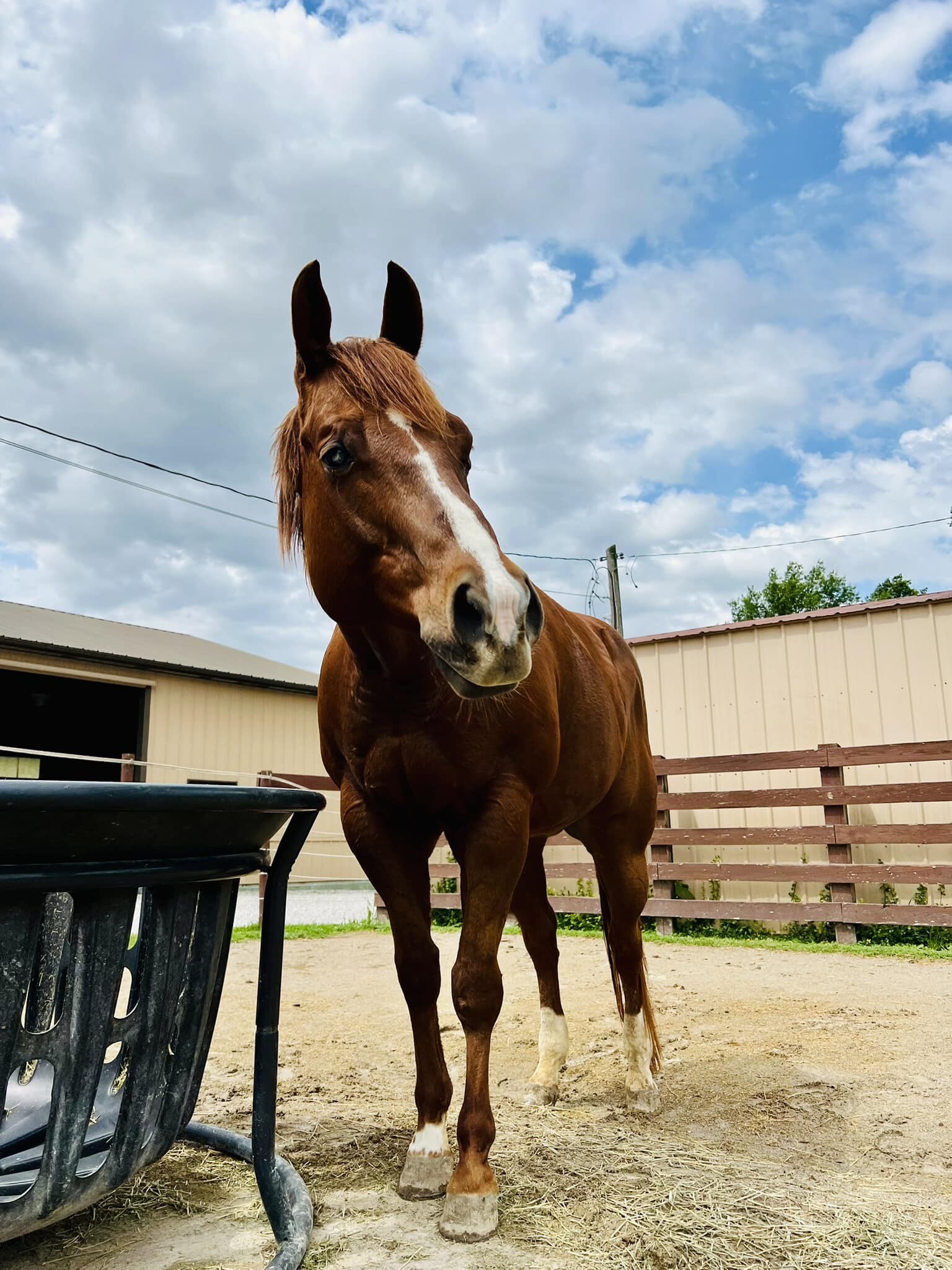 Monthly Support for Gunner