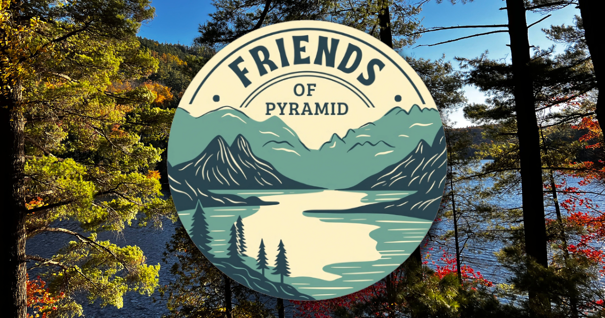 Friends of Pyramid Auction 2024