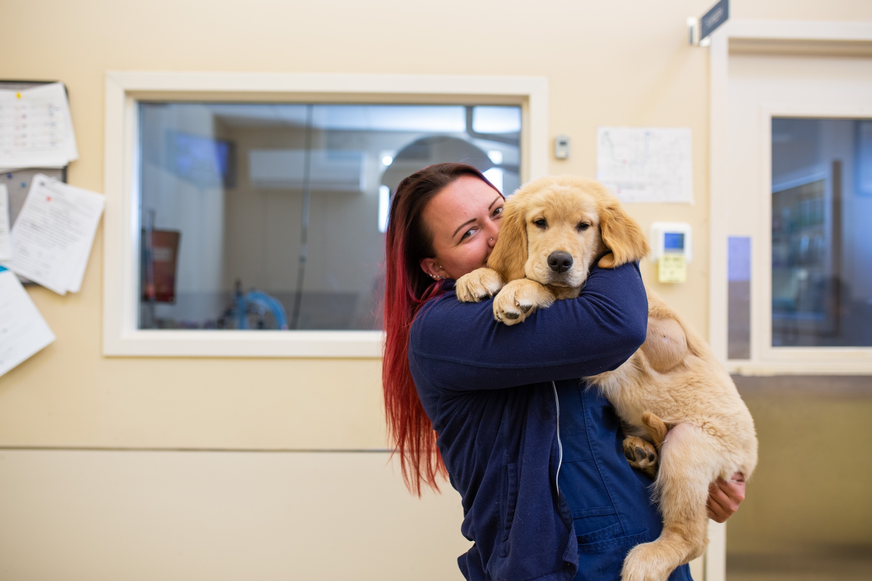 Let’s Support the Vet Staff!