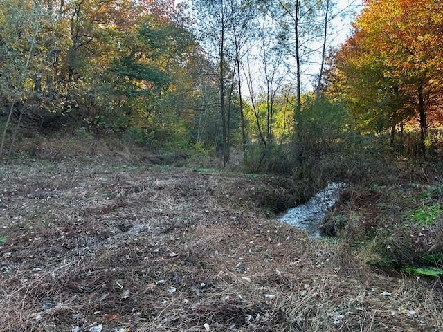 Riparian Buffer Planting | Aquetong Watershed Association Inc