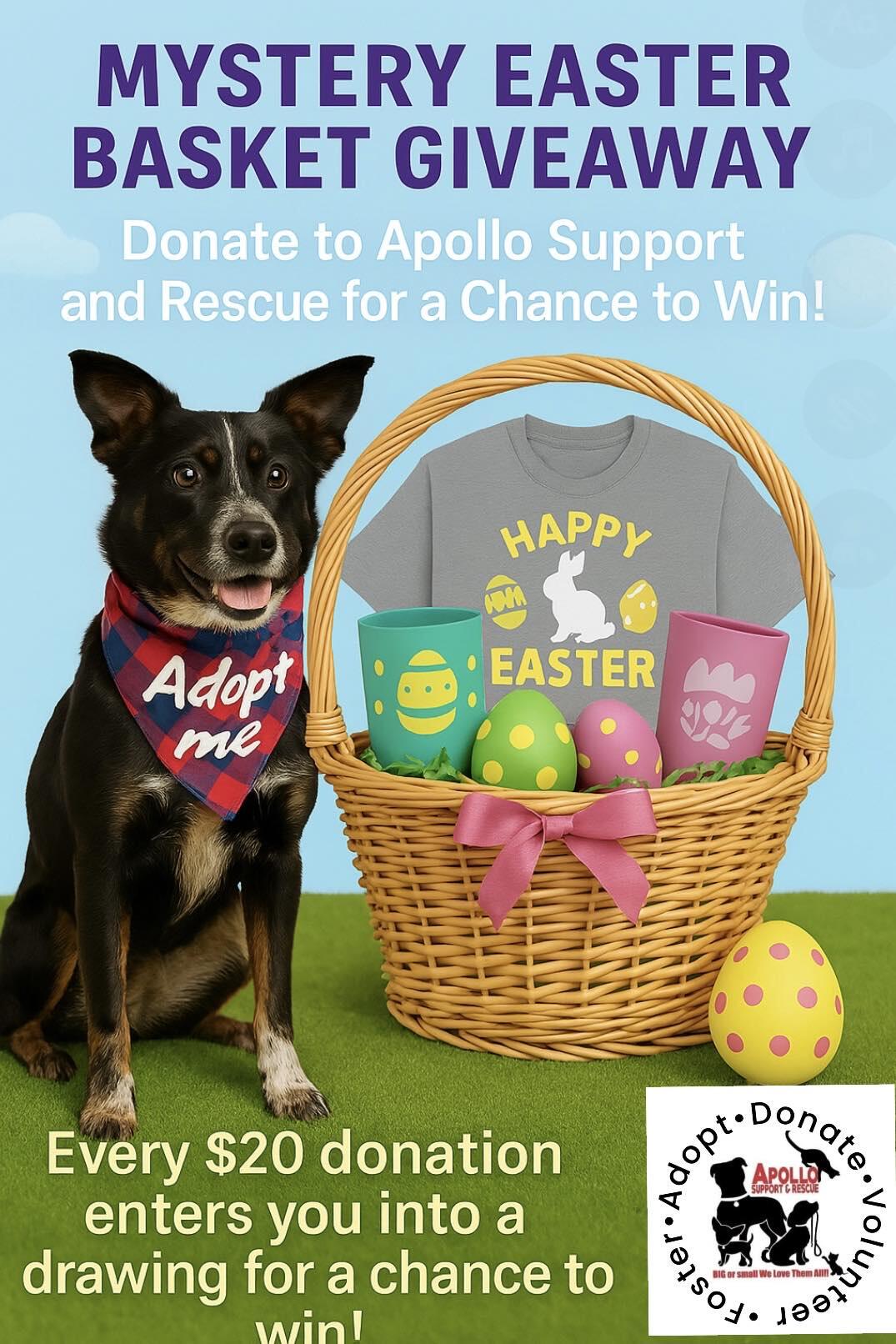 EASTER BASKET GIVEAWAY | Apollo Support & Rescue Inc