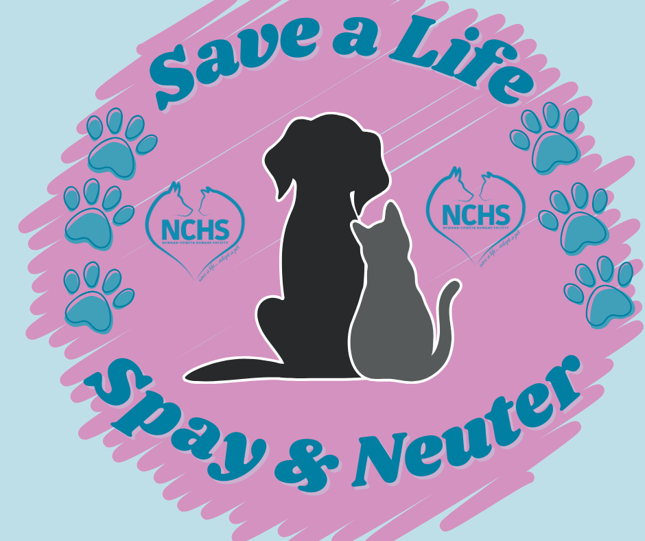 Vicky Baron Spay/Neuter Program
