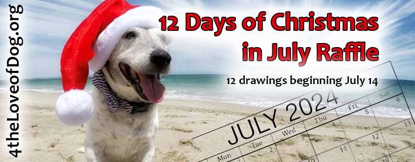Twelve Days of Christmas In July Raffle