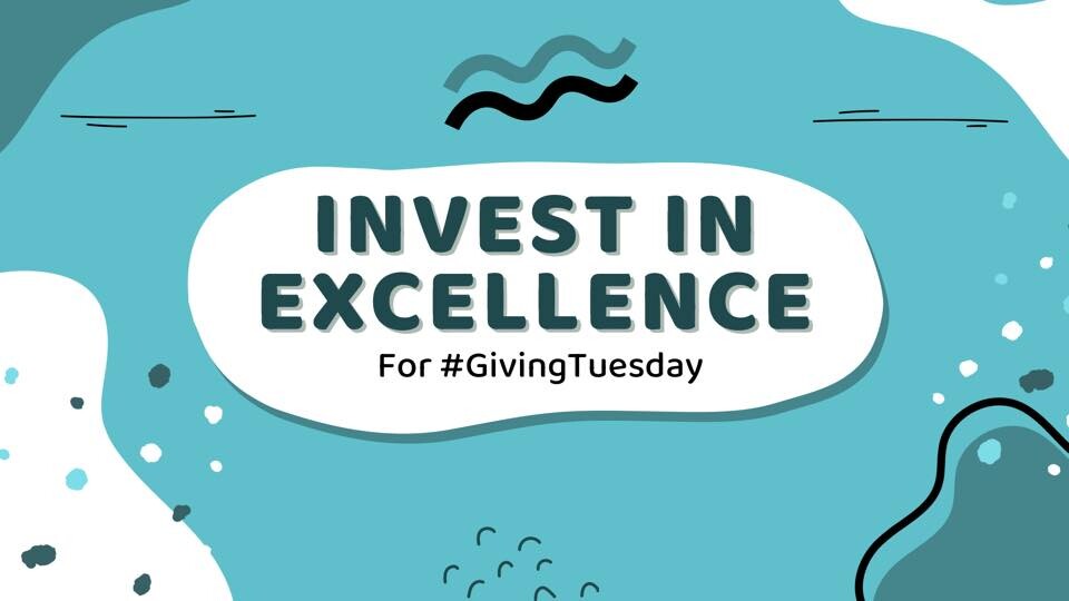 Investing in Excellence on #GivingTuesday | Synergies Work