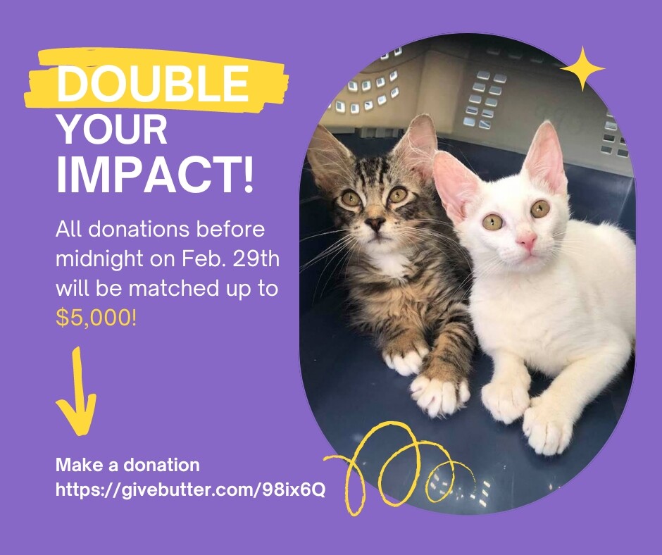 February Matching Donation Fundraiser
