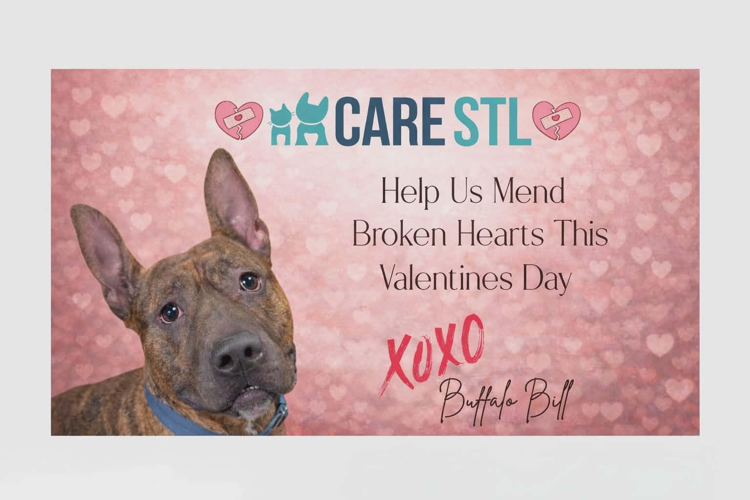 Mend a Broken Heart | CENTER FOR ANIMAL RESCUE & ENRICHMENT OF ST LOUIS ...