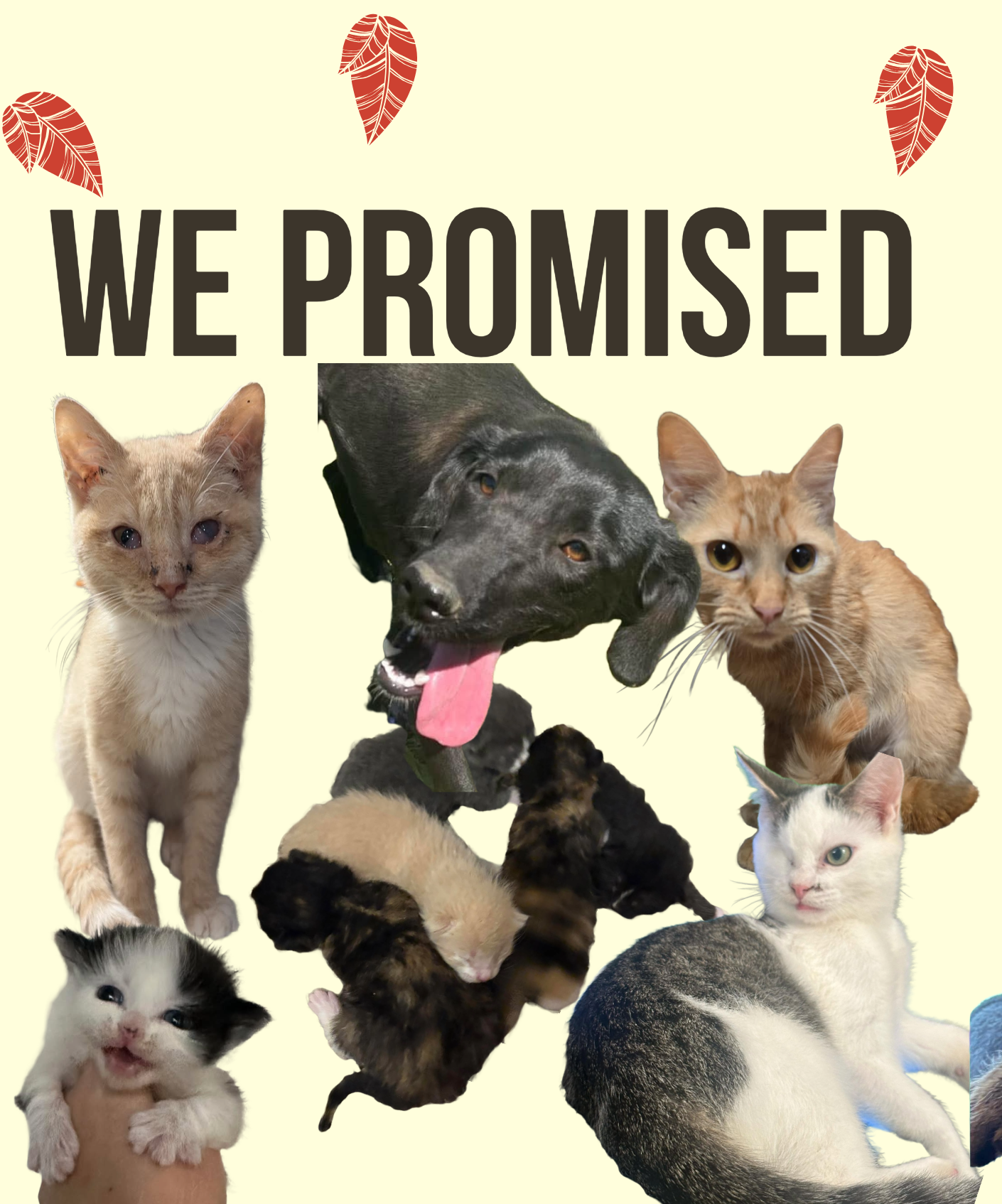 LCAR Emergency Medical Fund: Because a Promise is a Promise | LAST ...