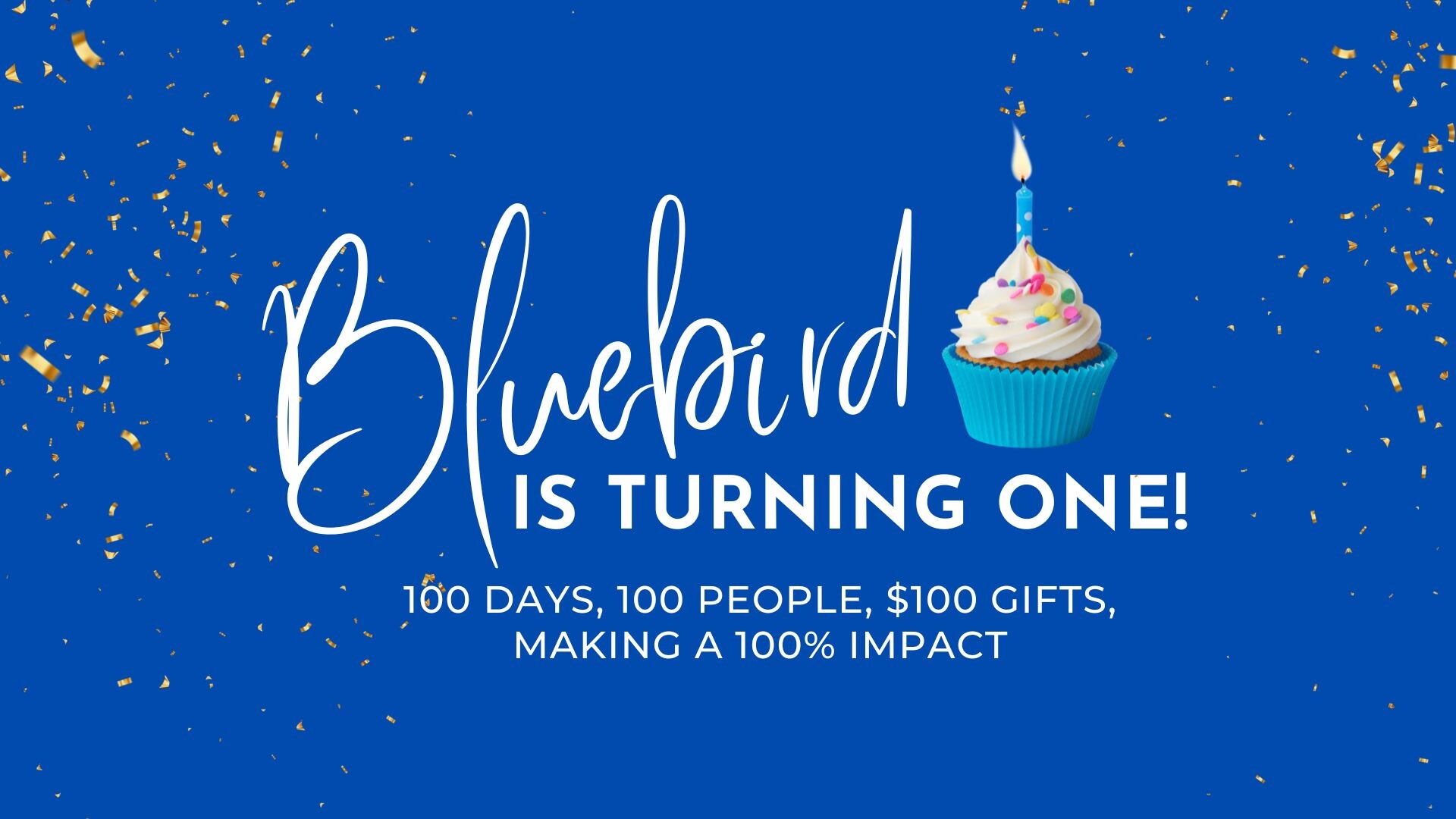 BLUEBIRD IS TURNING ONE! | Bluebird Bus of Hope