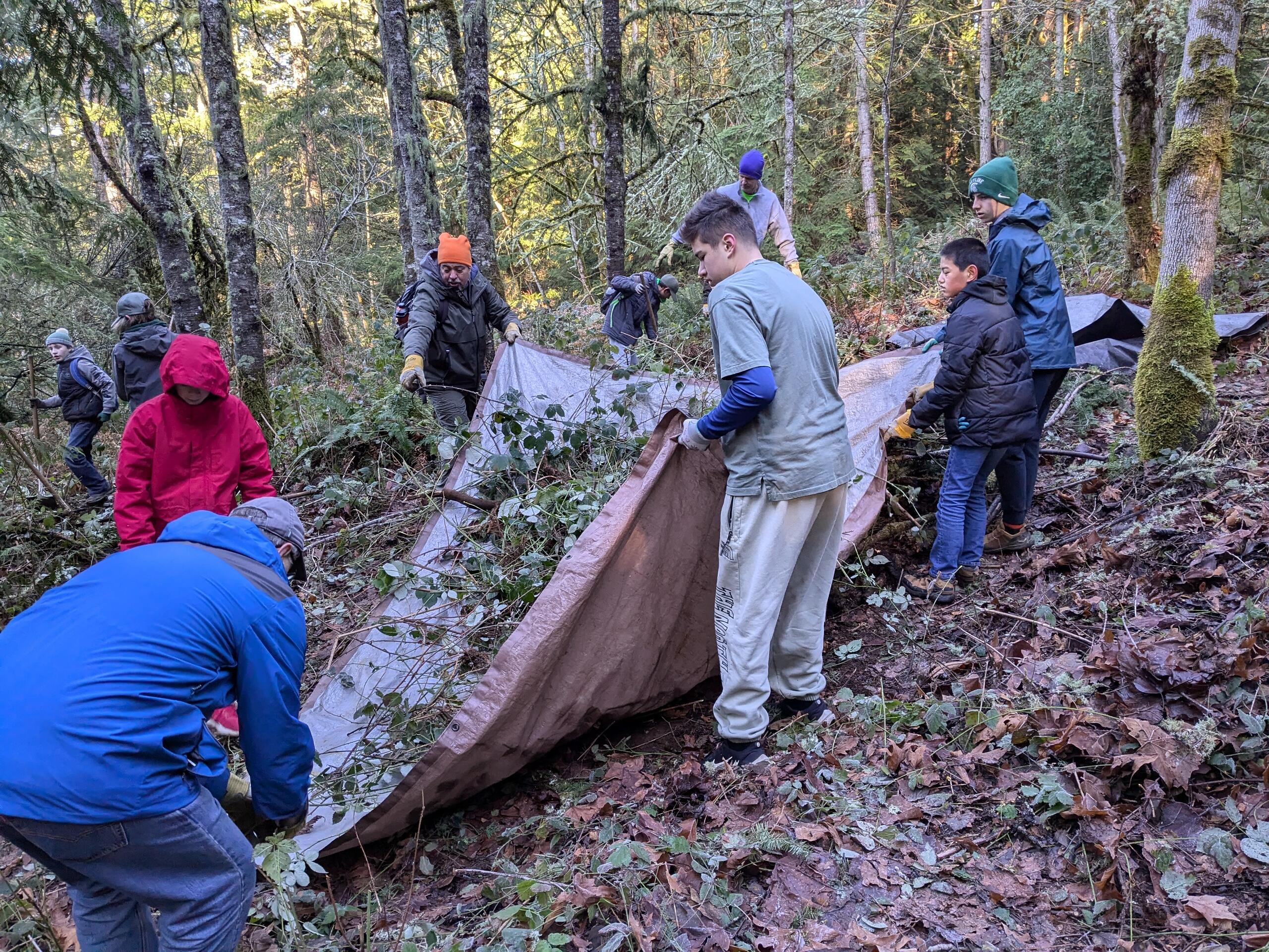 Green Issaquah: Restoration Event at Park Pointe 8/30 | Issaquah Alps ...