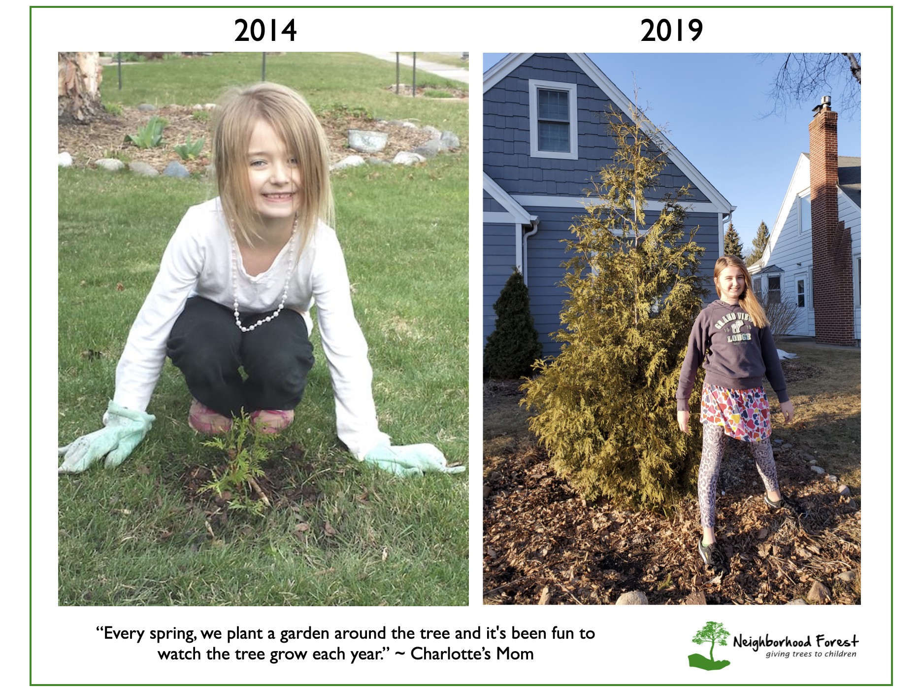 Free Trees for Kids through Neighborhood Forest | Neighborhood Forest