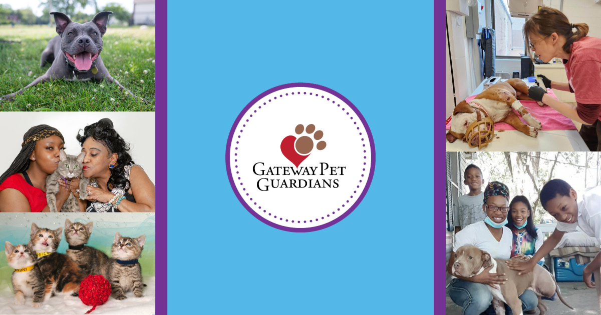 Fight Heartworms and support pets in need with Gateway Pet Guardians