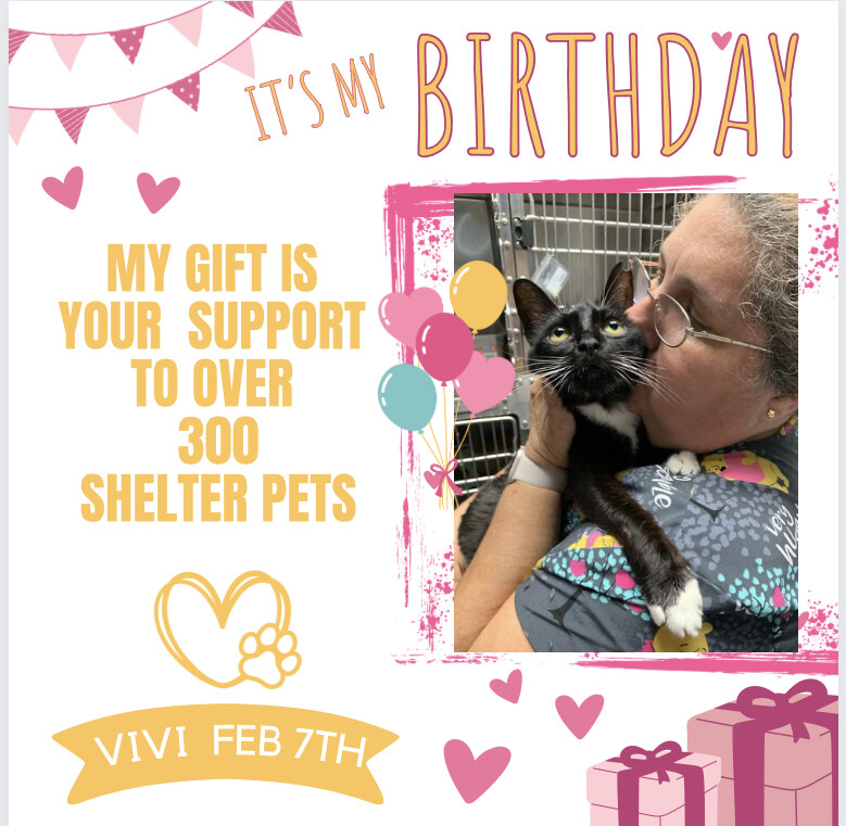 Vivi Noya Birthday Fundraising