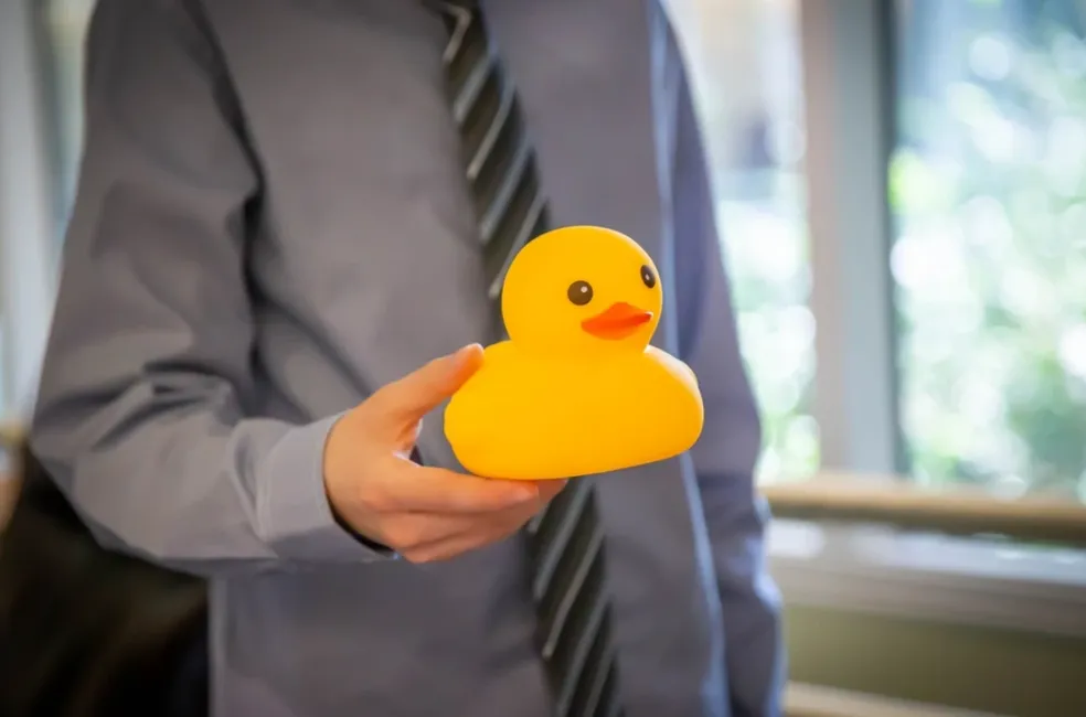 Please Support - Ducks For Dementia! | Ducks for Dementia