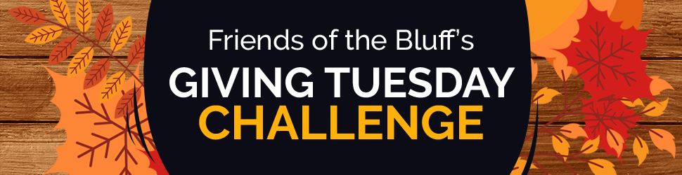 FOB's Giving Tuesday Challenge