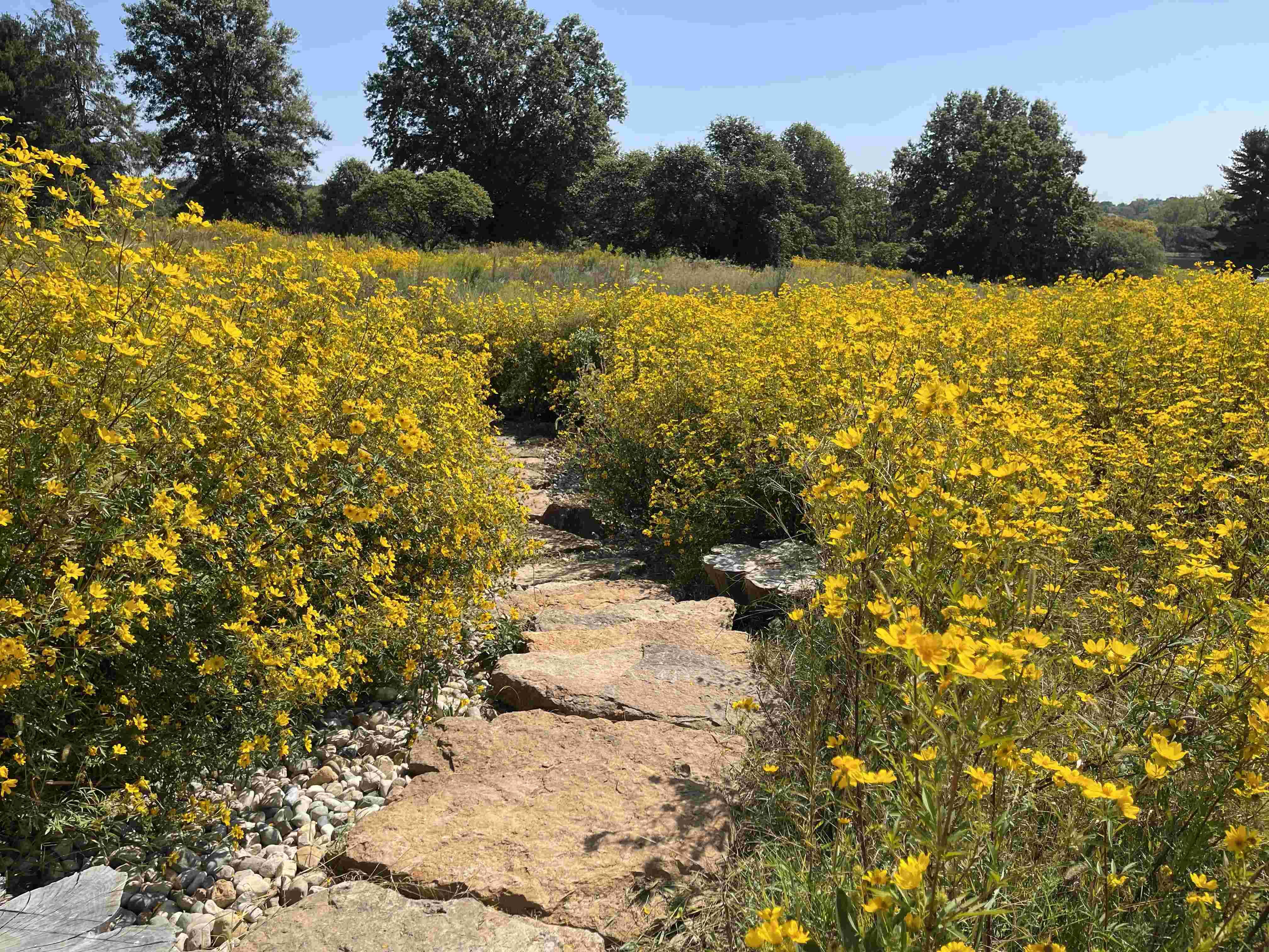 Exploration Garden Phase III Improvements