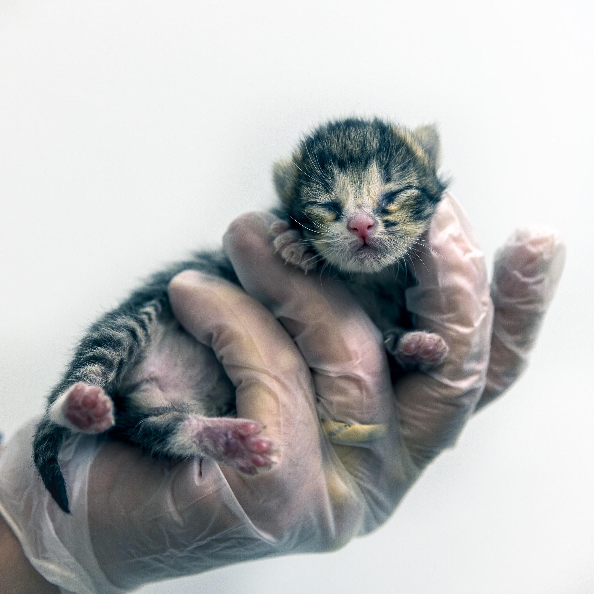 Second Chance Fund