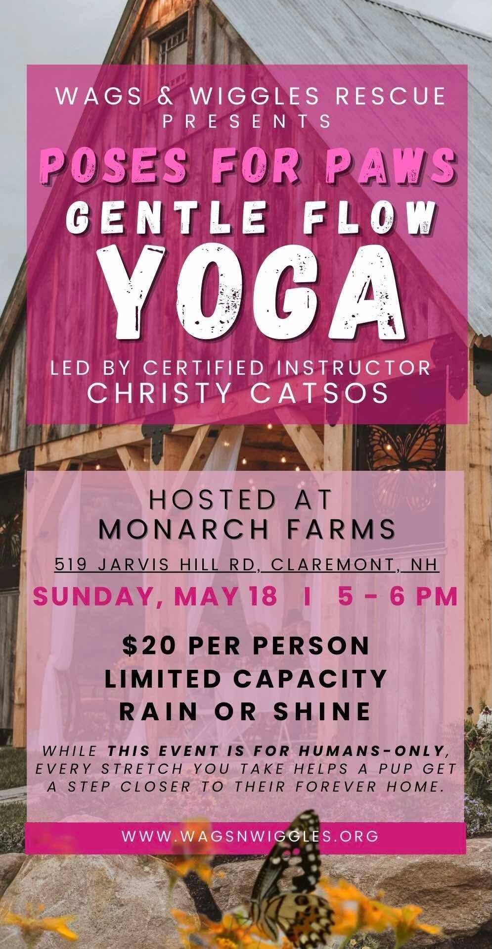 Poses for Paws: Gentle Flow Yoga