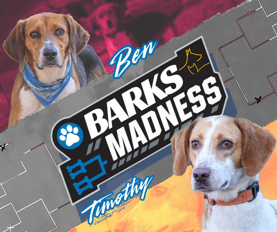 Barks Madness :: Round 1