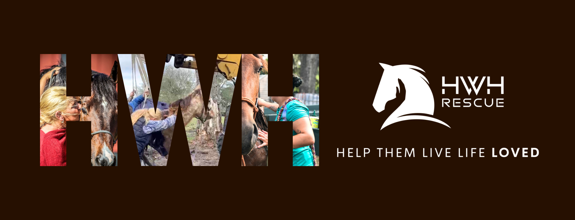 Help Them Live Life Loved | Horses Without Humans Rescue Organization