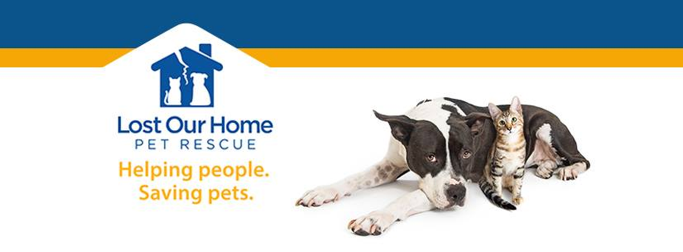 Support Lost Our Home Pet Rescue