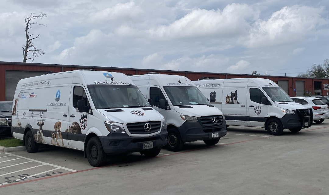 Animal Rescue Transport Van Repairs