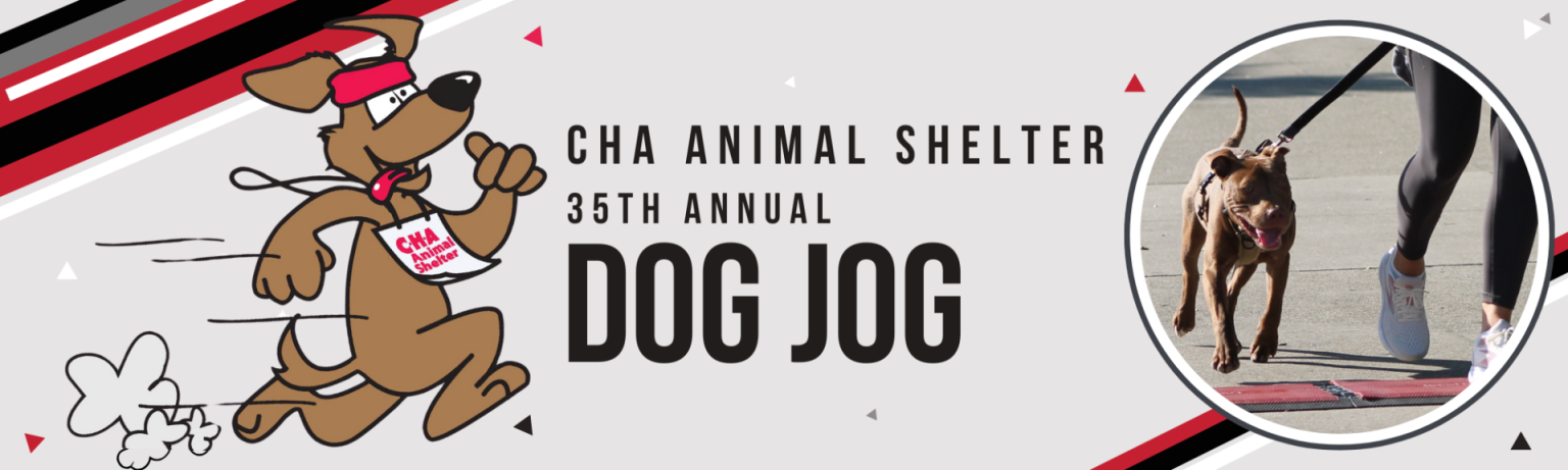 Dog Jog 2025 | Citizens For Humane Action Inc