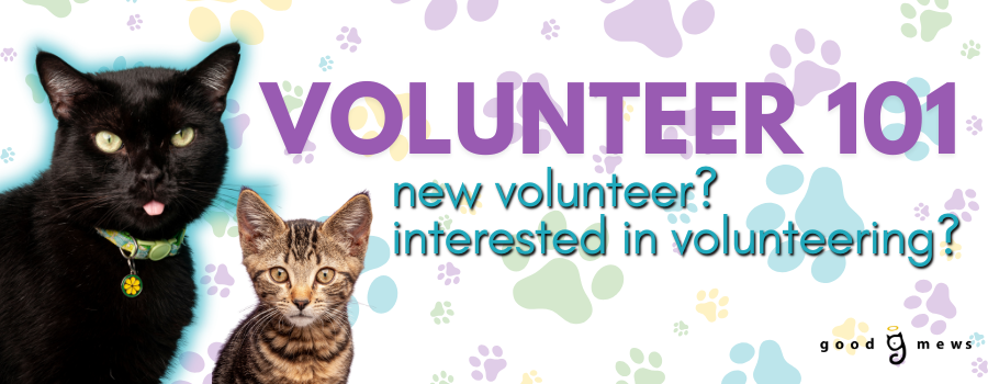 Good Mews Volunteer 101 | GOOD MEWS ANIMAL FOUNDATION INC