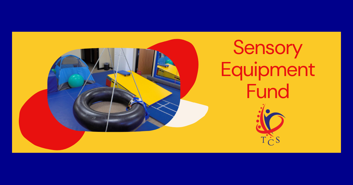TCS Sensory Equipment Fund | TCS Therapy & Counseling Services