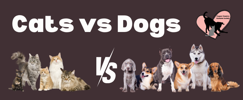 Cats vs. Dogs 2023 | Copper Country Humane Society