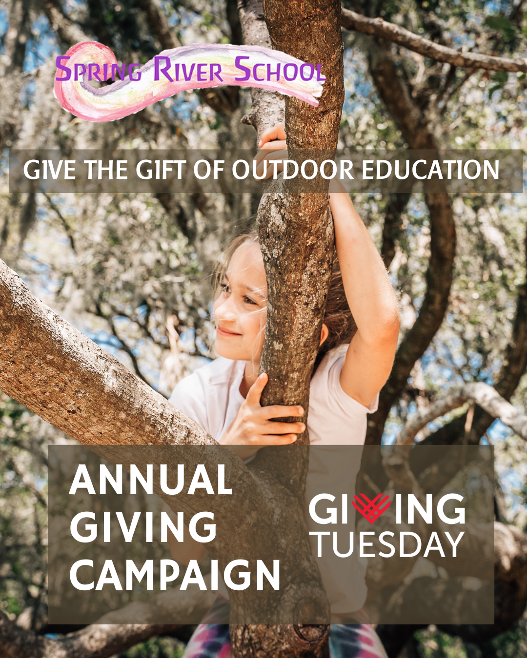 Spring River School Giving Tuesday 2025 | Jacksonville Educational ...