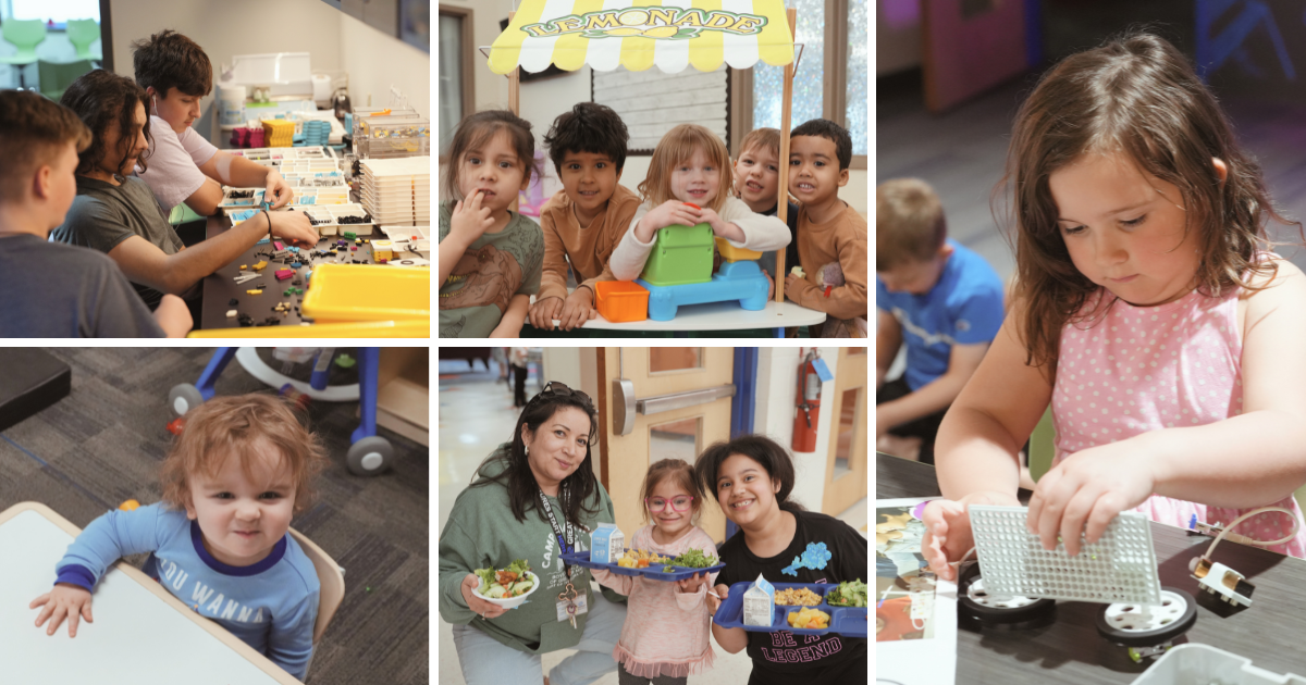 Alumni Support - Capital