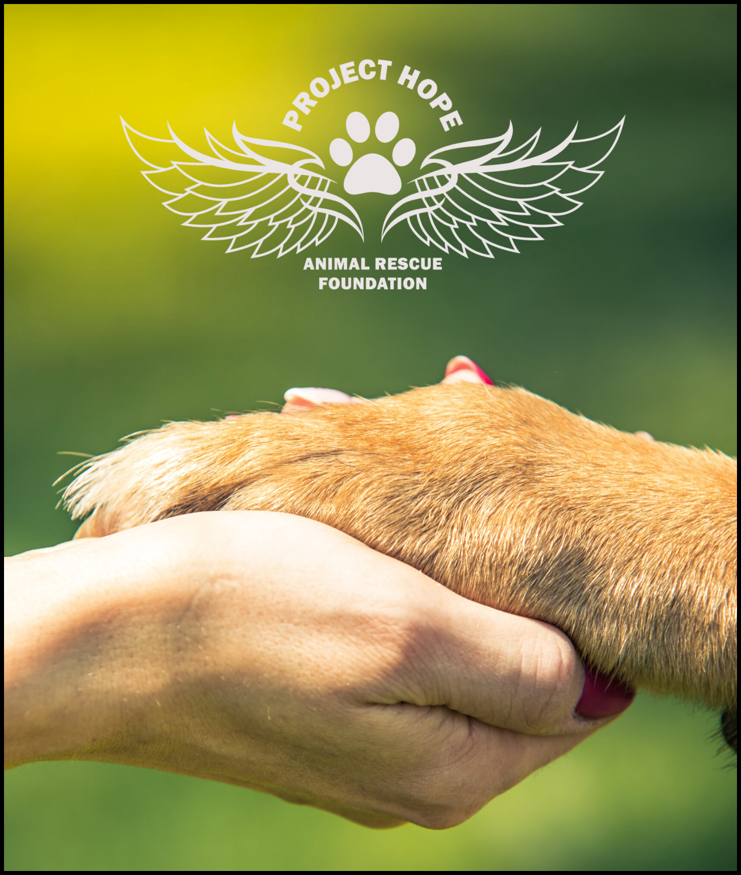 Project Hope Animal Rescue 2025 Goods | Project Hope Animal Rescue ...