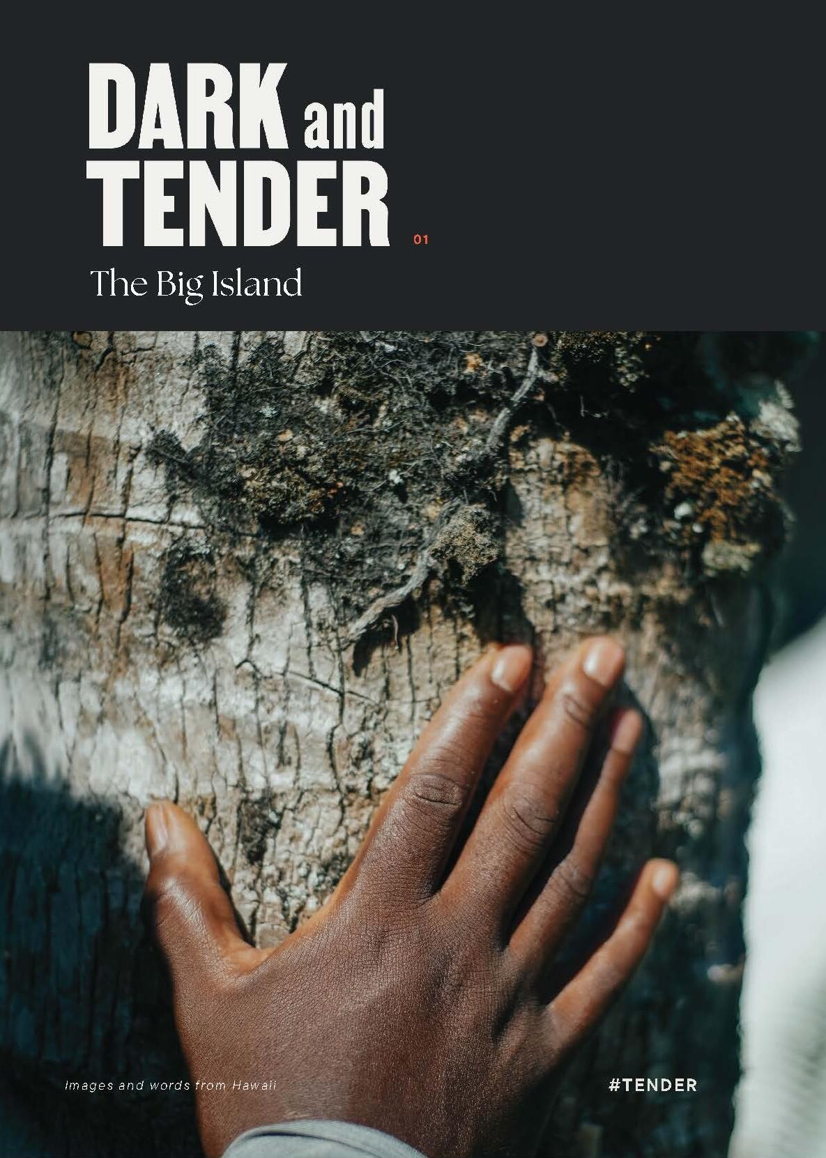 Zine - Dark and Tender