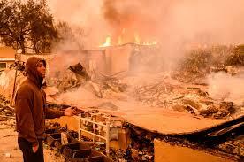 WILD FIRE DISASTER RELIEF | N.O.A.H’s Foundation Inc.