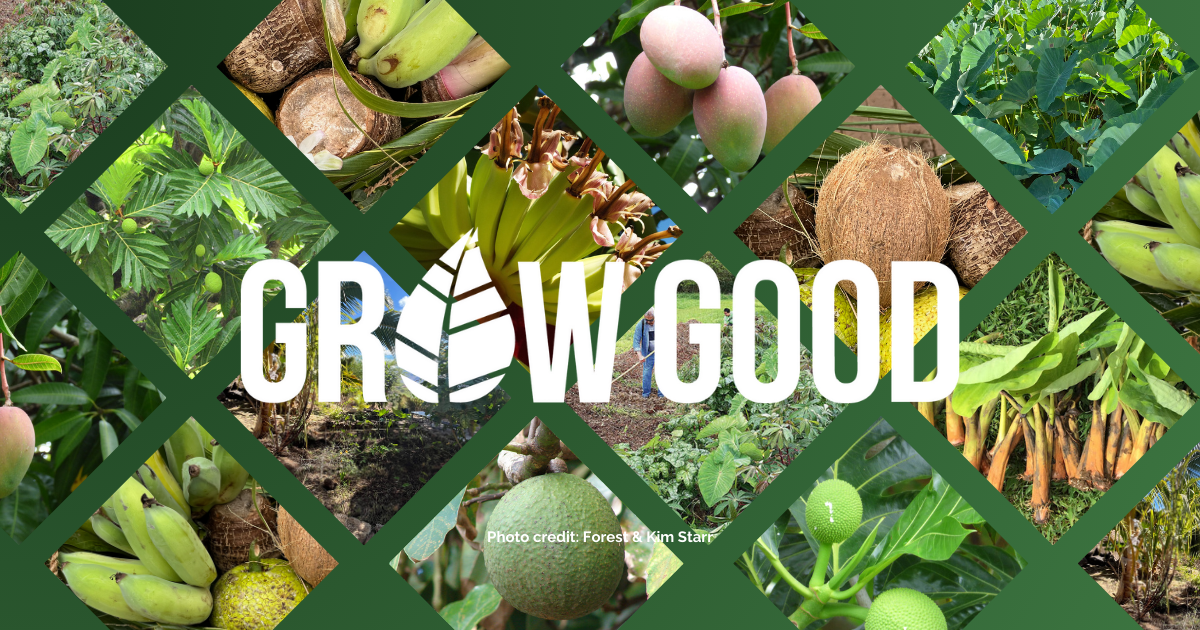 GROW FOOD, GROW NATURE, GROW PEOPLE | Grow Good Hawaii