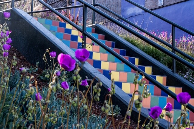 Tompkins Stairway Garden | Greening Projects