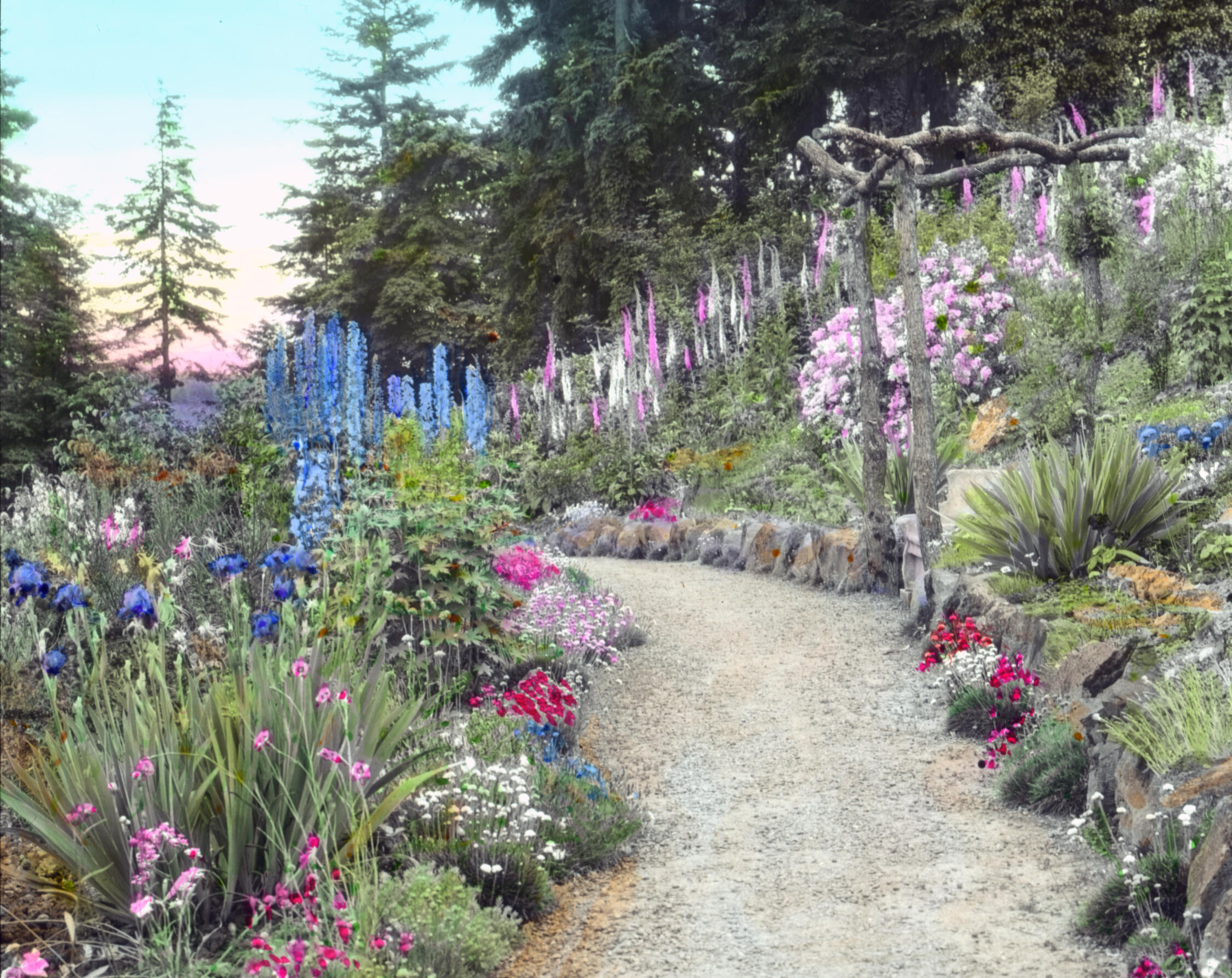 The Legacy of Elk Rock Garden: A Century of Horticultural History