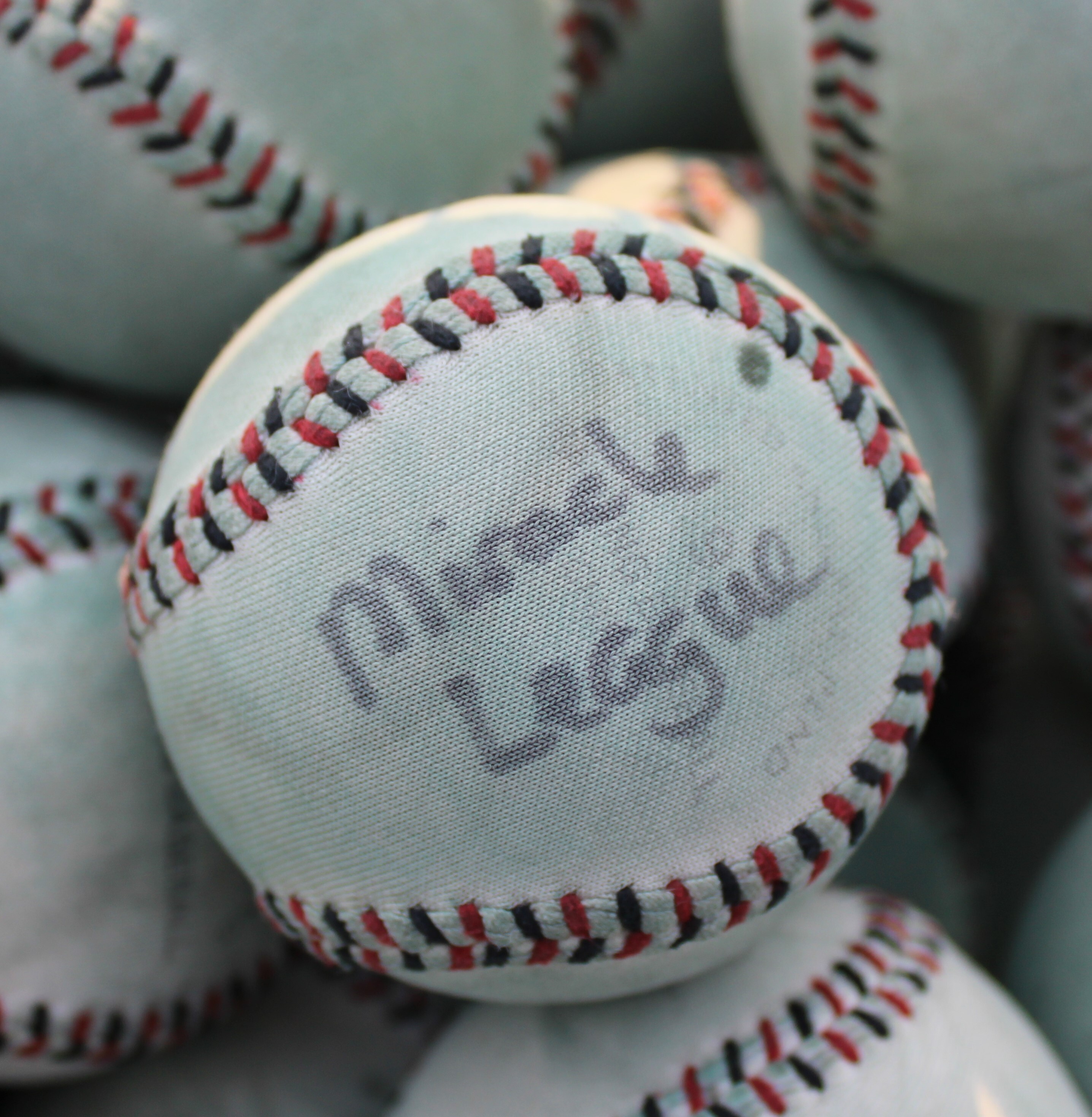 2024 Miracle League NW MT Baseball Season