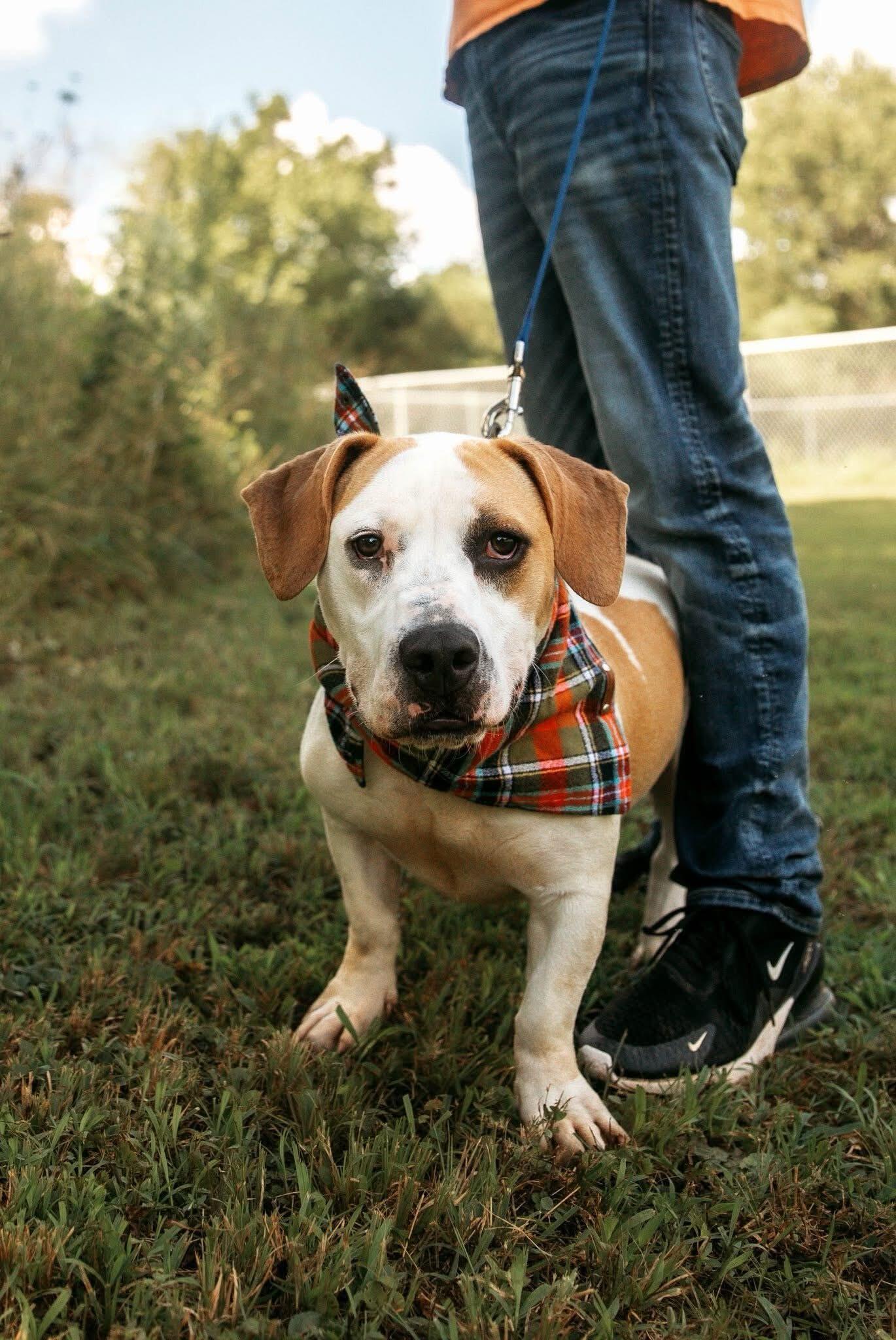 DECA girls Fundraiser