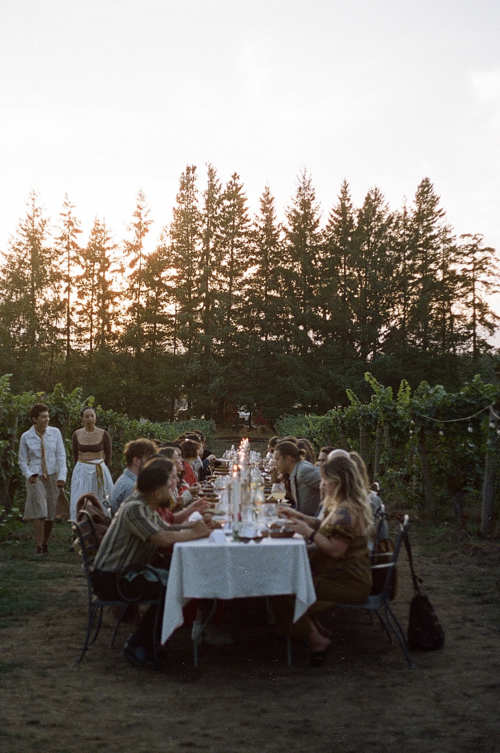 Mid-Summer Soiree | Thimbleberry Collaborative Farm