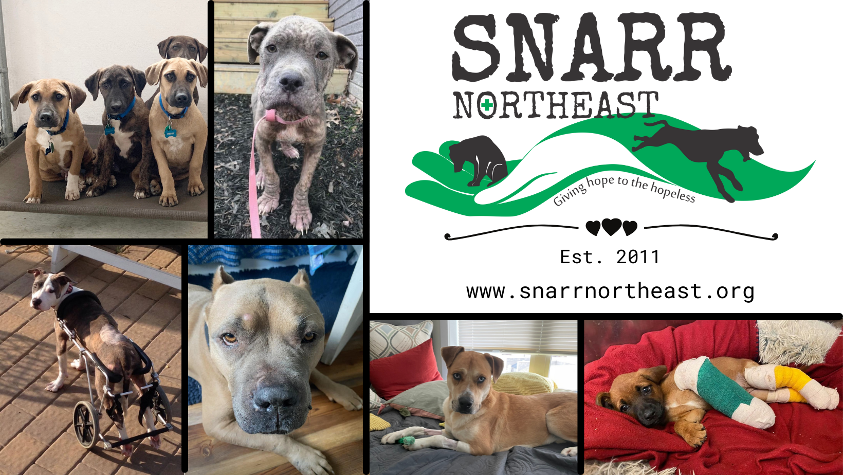 SNARR Northeast